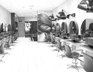 Salons - Zink : The Element of Hair